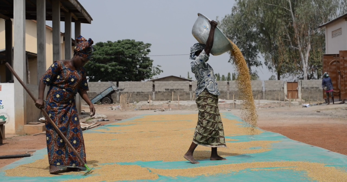 Supporting Women Entrepreneurship in the Rice Industry (PAEFFR) | CECI