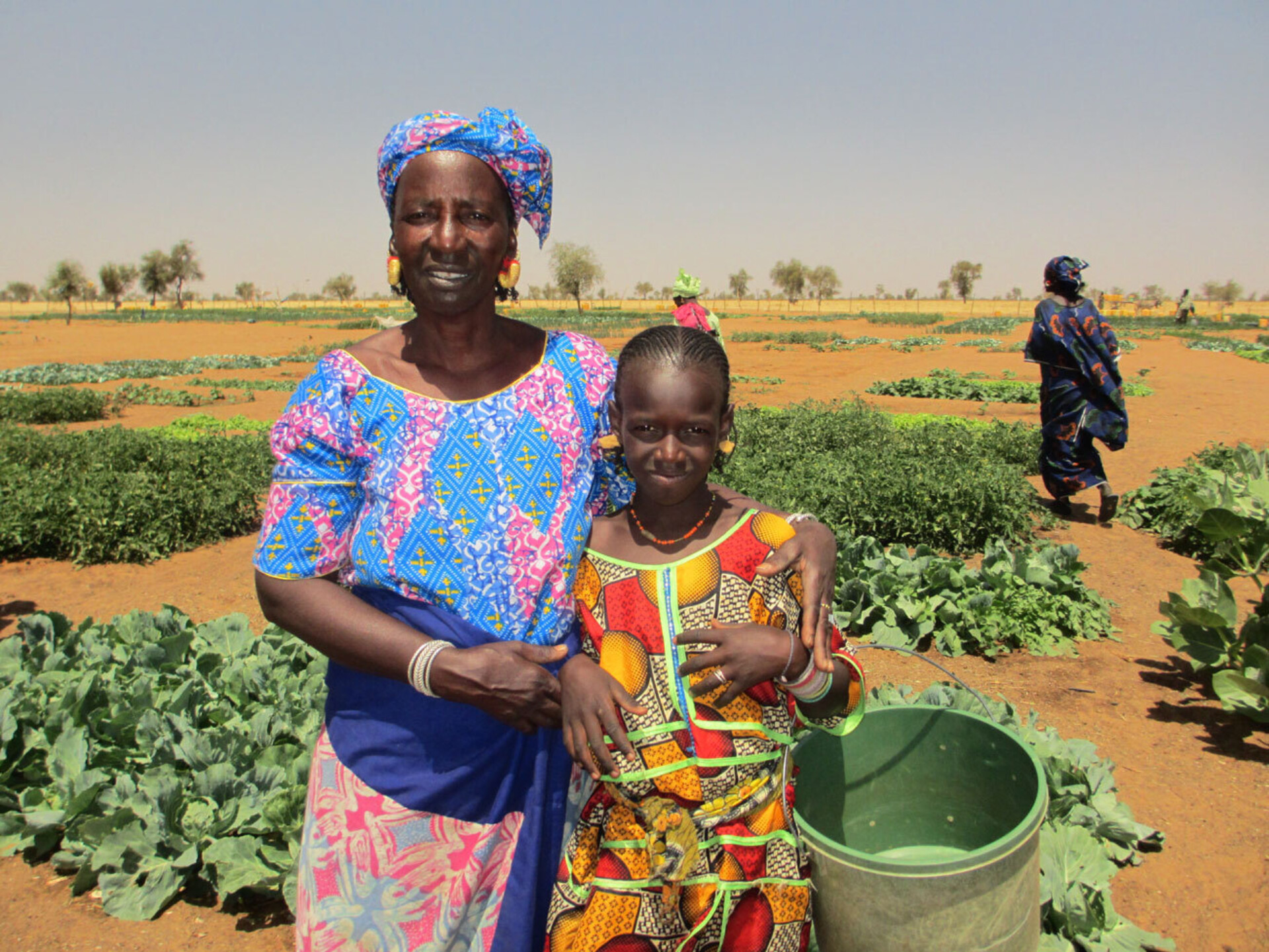 Improving Community Resilience | CECI