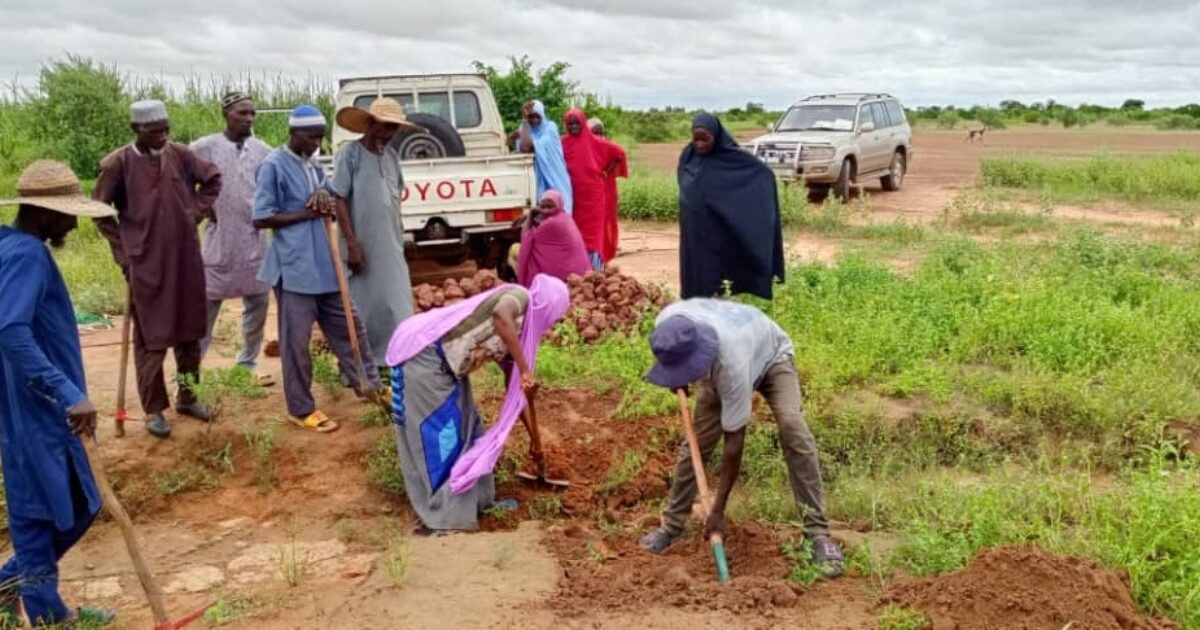 Una dinámica colectiva para la resiliencia de los ecosistemas… | CECI